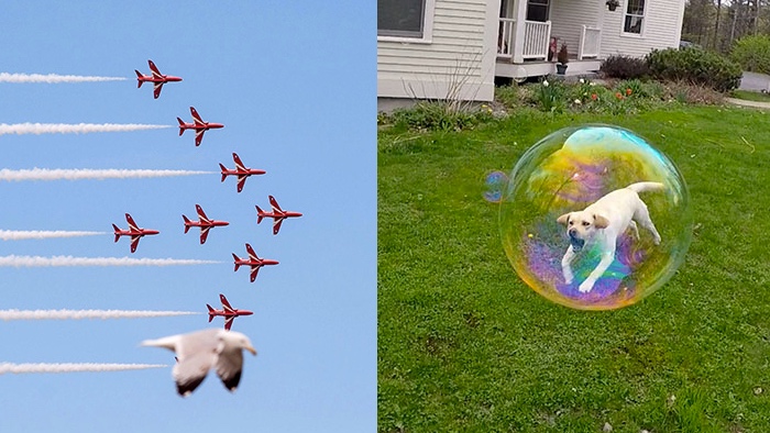 19 Photos Taken at the Most Opportune Moments