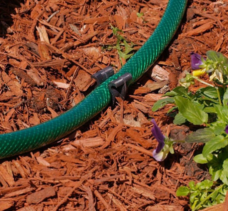 The Handy Camel Irrigation Spikes: The Easiest Way to Water Your Garden