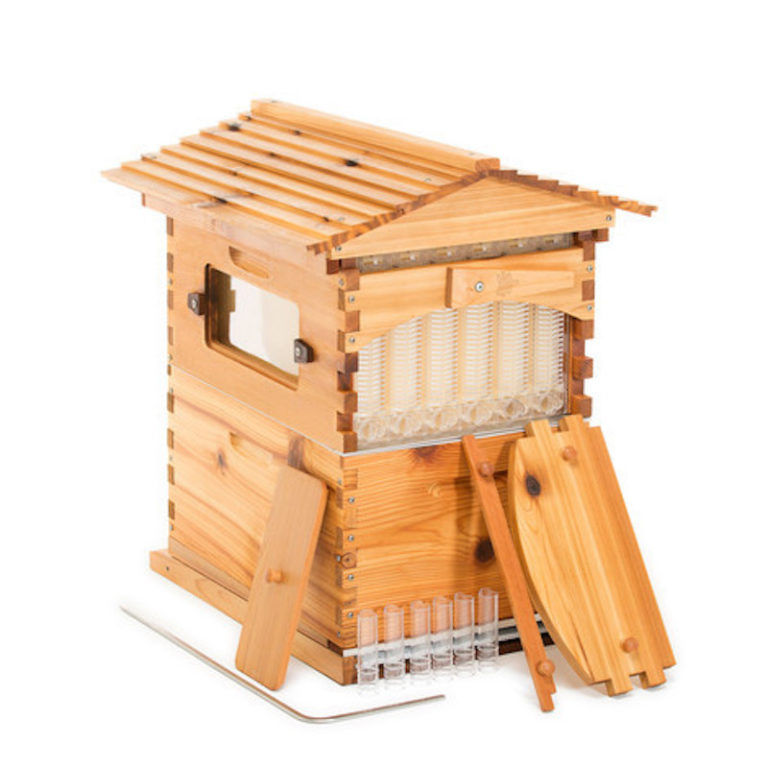 Flow Hives: Tap Honey Directly from Your Hive to Your Jar