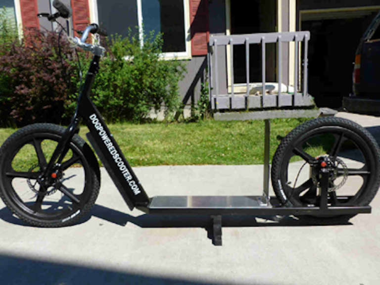 Dog Powered Scooter: Take Your Furry Friend for a Walk in Style!