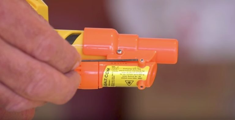 Bug-A-Salt: Eliminate Flies Instantly With Salt