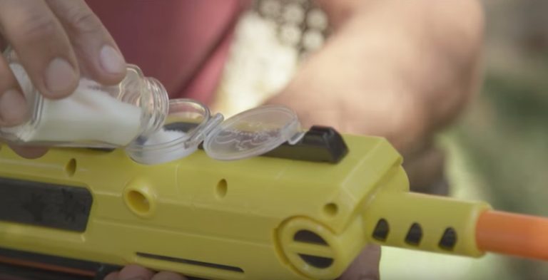 Bug-A-Salt: Eliminate Flies Instantly With Salt