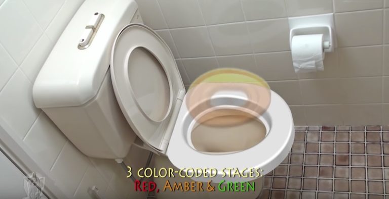 Litter Kwitter: Train Your Cat to Use the Toilet