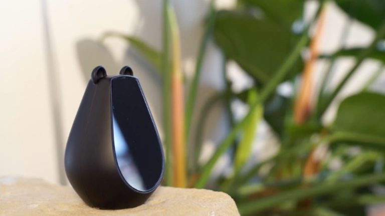 Bearbot: The Adorable Remote That Can Control All Your Devices