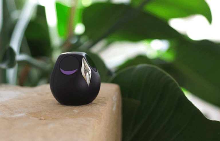 Ulo: The Owl That Watches Over Your Home When You're Away