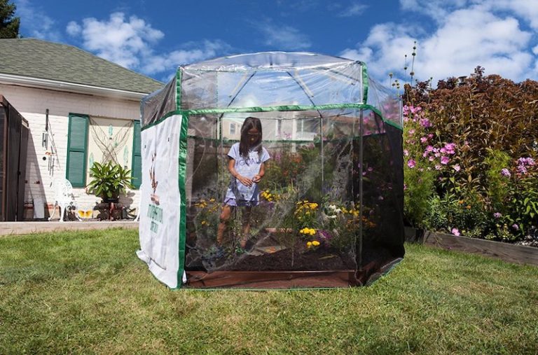 Monarch Migration Station: Learn All About Butterflies in a Fun Way