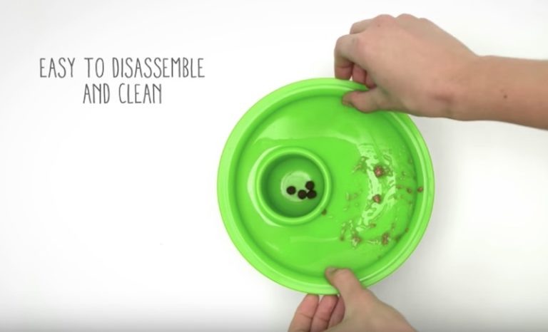 Catit Multi Feeder: The Food Bowl Designed for Cats