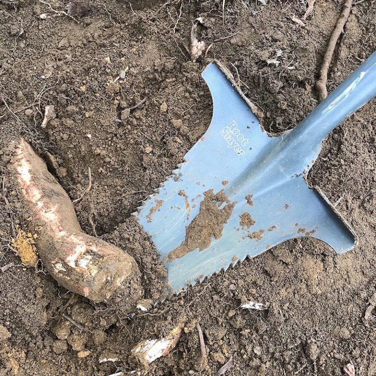 Radius Garden Root Slayer: Extract Your Roots with Minimal Effort