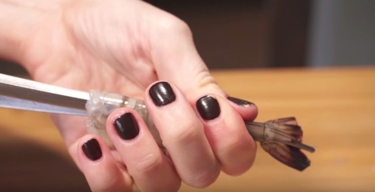 Toadfish Frogmore Shrimp Cleaner: The Streamlined Way to Prepare Shrimp