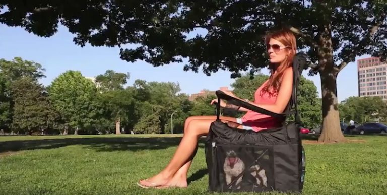 Wrapsit Lawn Chair Cover: The Portable Dog Crate for the Outdoors